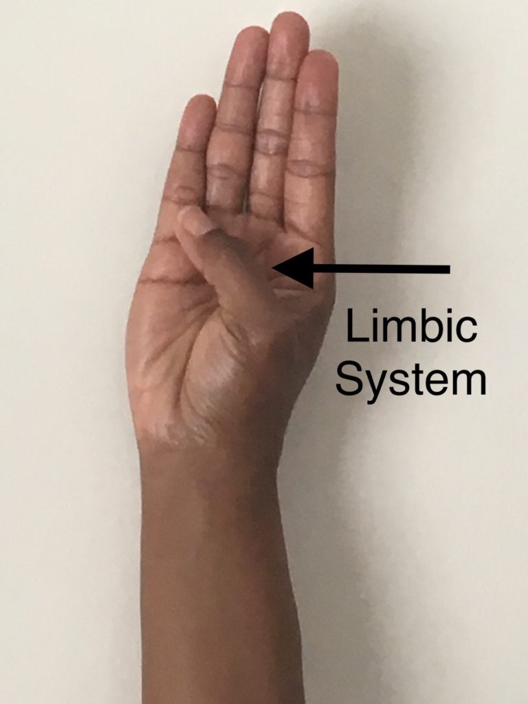 Talking with Clients About the Brain Made Easy - Trauma Treatment ...