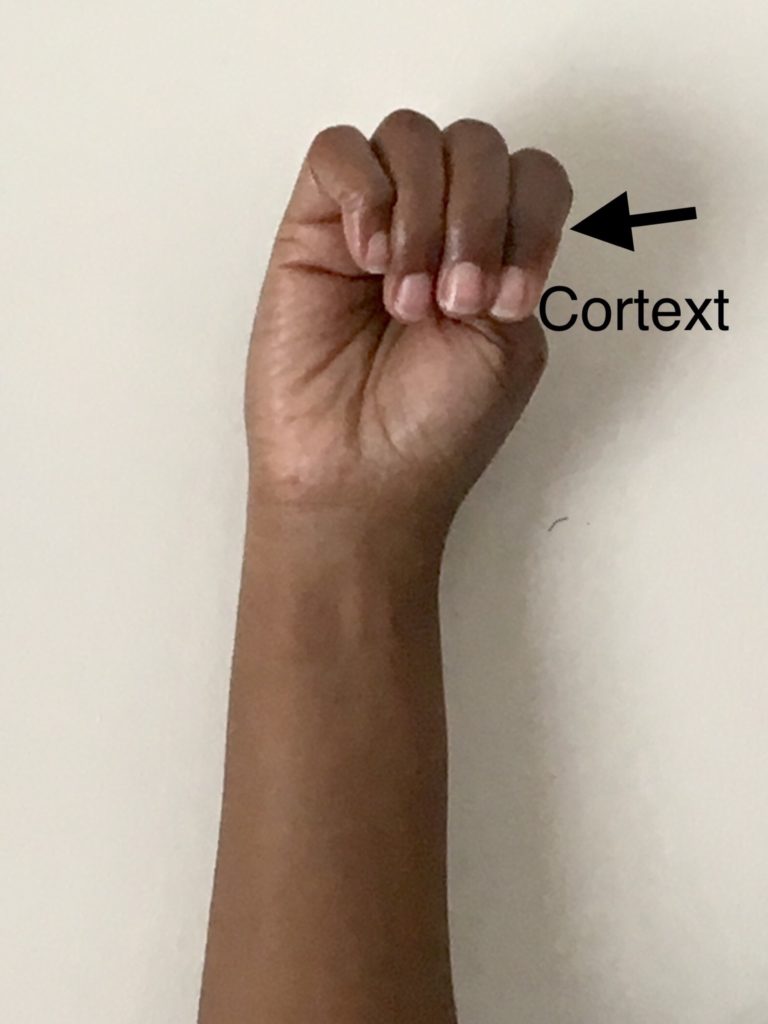 Talking with Clients About the Brain Made Easy - Trauma Treatment ...