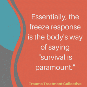 Working with the Freeze Response: Navigating Trauma with Sensitivity ...