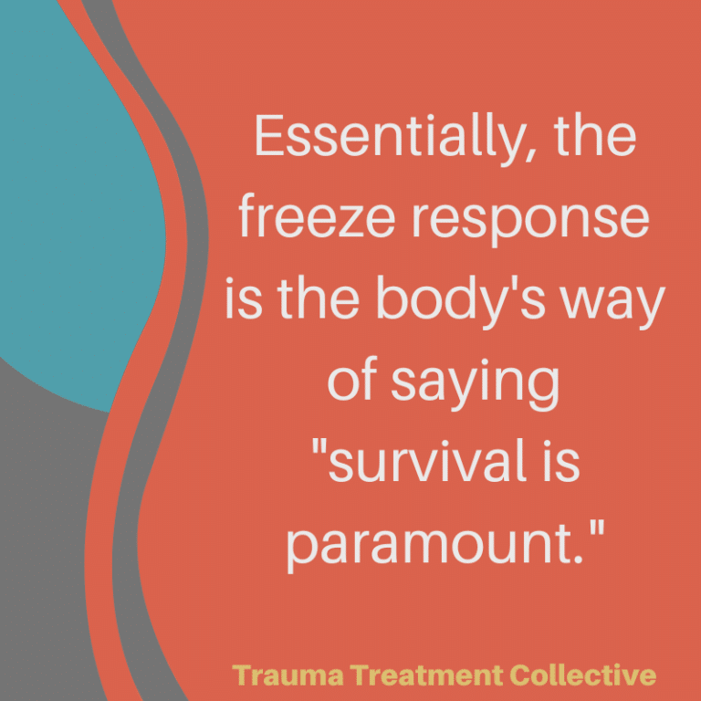 Working with the Freeze Response: Navigating Trauma with Sensitivity ...